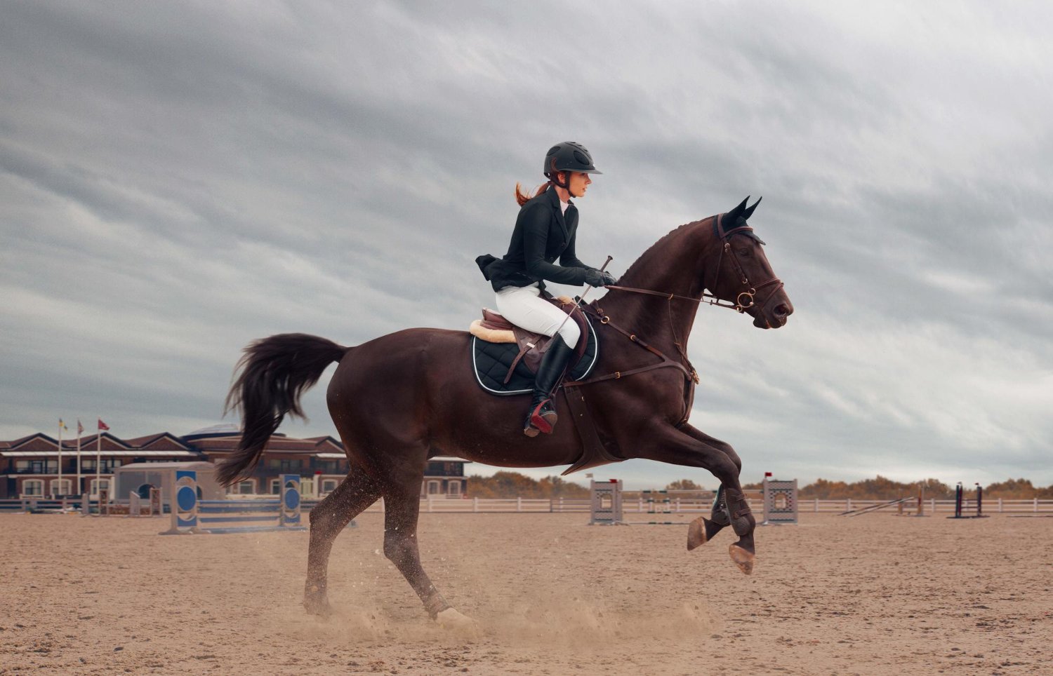 Unleashing Horse Speed: Galloping Velocity | Horse Racing & Biomechanics